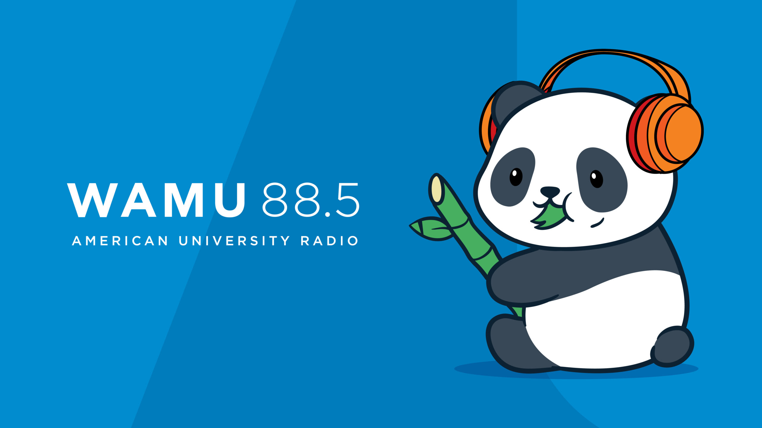 WAMU 88.5 - Stewardship - BCG Connect